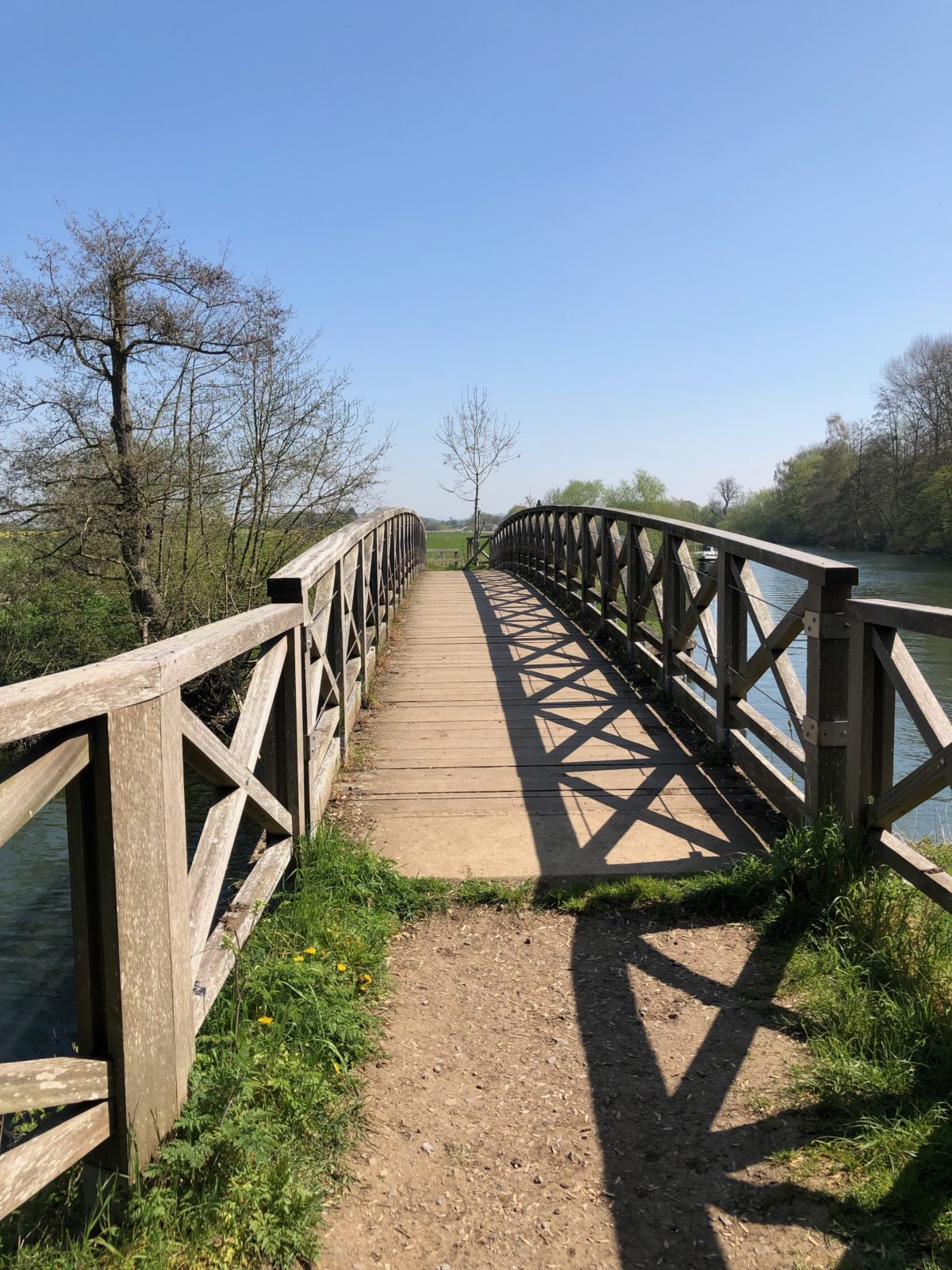 Wittenham Clumps Walk: Hard and Easy Routes - TrekSumo