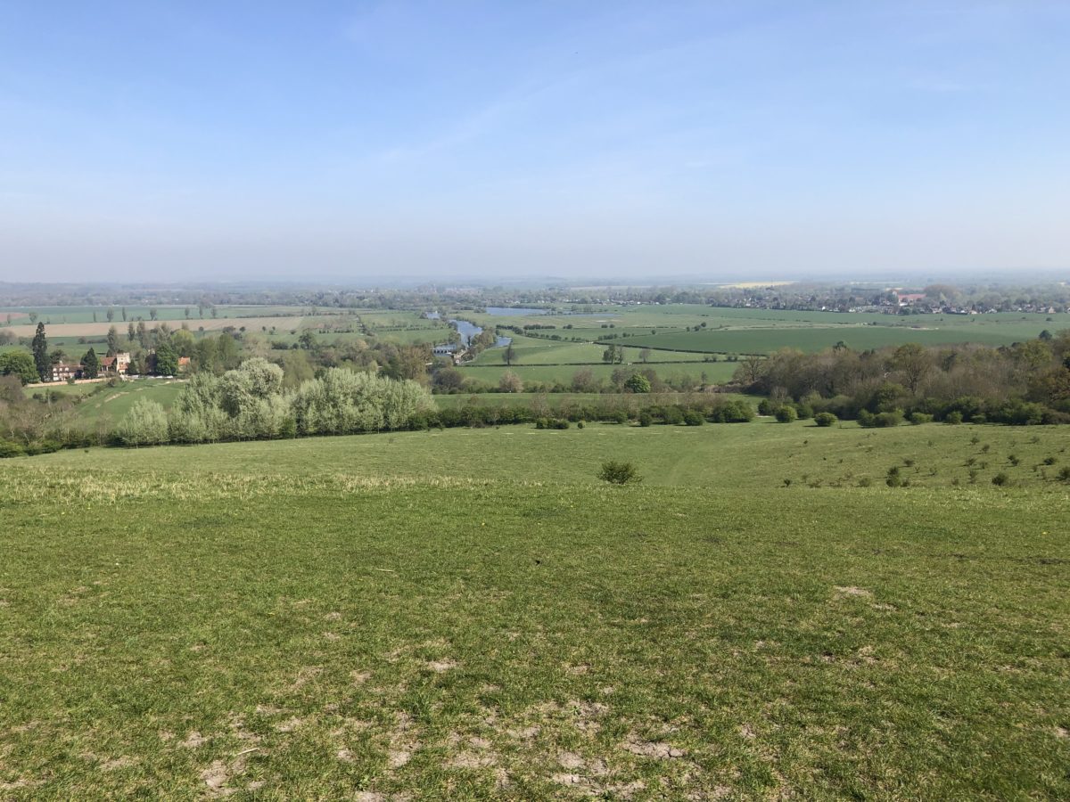 Wittenham Clumps Walk: Hard and Easy Routes - TrekSumo